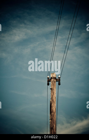 Utility pole supporting wires for electrical power distribution ...
