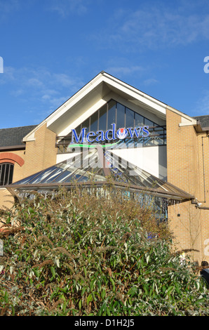 The Meadows Shopping Centre, Chelmsford, Essex Stock Photo - Alamy