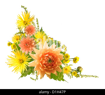 A vertical shot of blooming asters and green leaves Stock Photo - Alamy