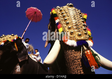 India Kerala Thrissur a detail of an Asian Elephant' harness during the ...
