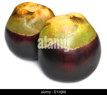 Borassus flabellifer or Tal fruit of Indian subcontinent Stock Photo ...