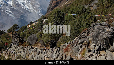 Thame monastery, Namche, Solukhumbu District Stock Photo - Alamy
