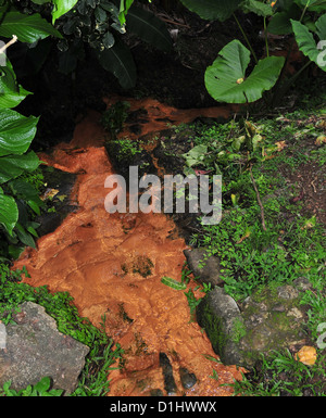 mineral hot spring stream at a geographical location Stock Photo - Alamy