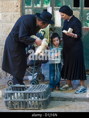 An ultra Orthodox Jewish man waves a chicken over his head during the ...