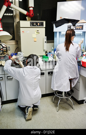 Lab workers researching ingredients and chemicals at a textile and ...