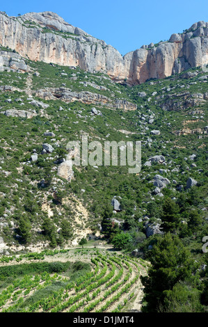 Mountain scenery in the Priorat wine region of Catalonia, Spain Stock ...