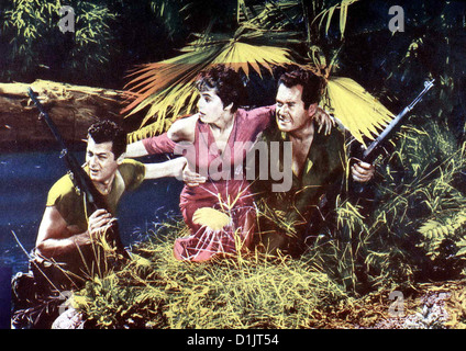 BEACHHEAD, Tony Curtis, Frank Lovejoy, Mary Murphy, 1954 Stock Photo ...