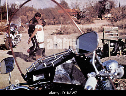 Harley Davidson 344 Electra Glide In Blue Billy "Green" Bush Mit Stock ...