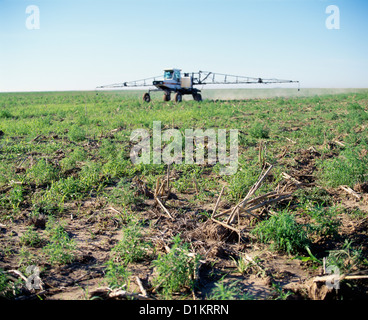 SPRAYING HERBICIDE ON SUMMER FALLOW WHEAT GROUND WITH WEEDS / KANSAS ...