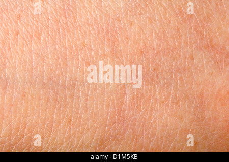 Human skin close up. Structure of Skin Stock Photo - Alamy