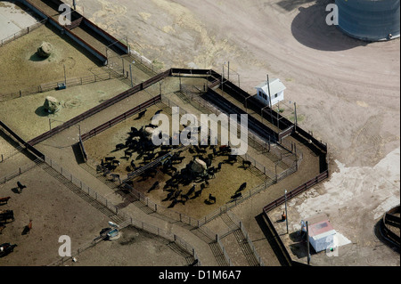 aerial photograph cattle feedlot Nebraska Stock Photo - Alamy