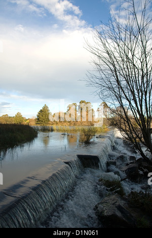 A weir on a stream in New Brunswick, Canada Stock Photo - Alamy