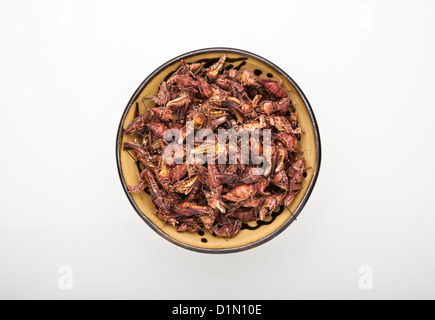 grasshoppers or chapulines snack. Traditional mexican food from Oaxaca ...