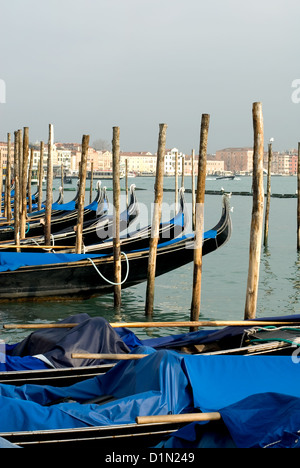 Wooden posts at Venetian Lagoon, Venice, Veneto, Italy Stock Photo - Alamy