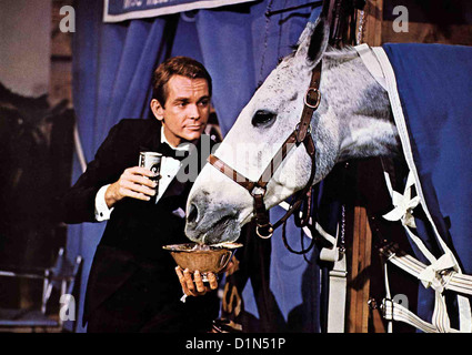 THE HORSE IN THE GRAY FLANNEL SUIT, US poster, top from left: Dean ...