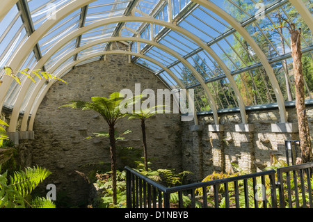 Benmore Gardens nr Dunoon Argyll & Bute Scotland Stock Photo - Alamy