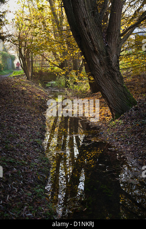 Stanford in the Vale in autumn Stock Photo - Alamy