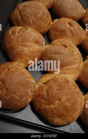 Fresh Homemade cob bread in bakers hands Stock Photo - Alamy