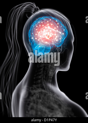 Human brain activity, illustration Stock Photo: 79461053 - Alamy