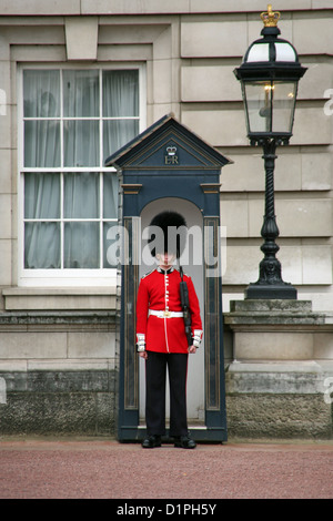 Guard in a sentry box at Buckingham Palace London Stock Photo: 11740222 ...