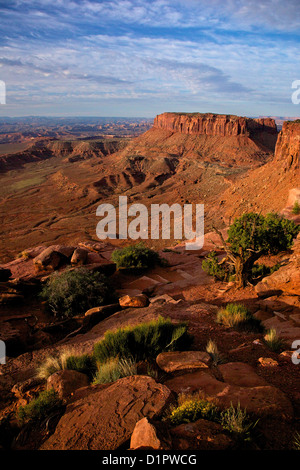 Grand View Point Overlook, Canyonlands National Park Stock Photo - Alamy