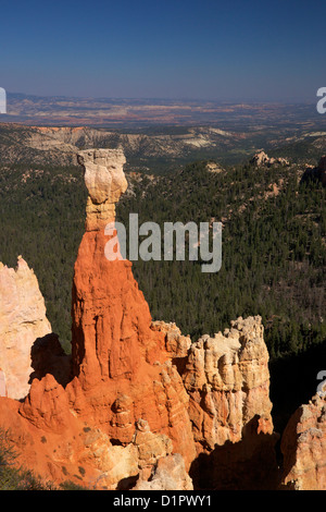Bryce Canyon National Park Hoodoo Formations and Pine Trees from Bryce ...
