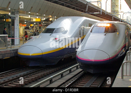 The Tohoku Shinkansen E2 series high-speed rail line at Tokyo Station ...