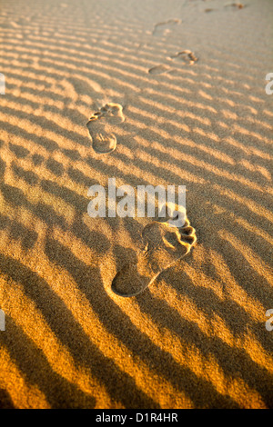 Ripple marks on sand dune on Maranjab Desert located in Aran va bidgol ...