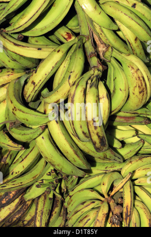 Bundles of green and yellow bananas in colombian street market Stock ...
