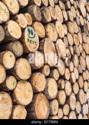 Logs harvested from sustainable forestry, in the Dolomites near the ...