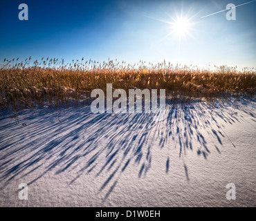 low sun and long shadows of snow blown into small piles Stock Photo - Alamy