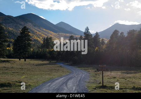 Lockett Meadow, near Flagstaff, Arizona, USA Stock Photo - Alamy