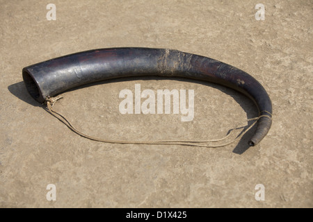 Tutari is a bugle-like instrument. Made of bullock horn. Musical ...