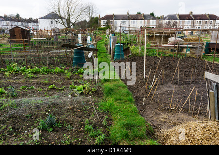Allotment in London Housing Estate Gardens - Lambeth - London - UK ...