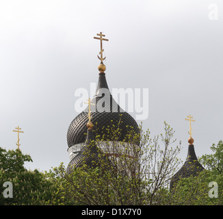 Cathedral of St. Alexander Nevsky in Presov. Slovakia Stock Photo - Alamy