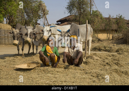 Gond couple Gadchiroli, Maharashtra, India Stock Photo - Alamy