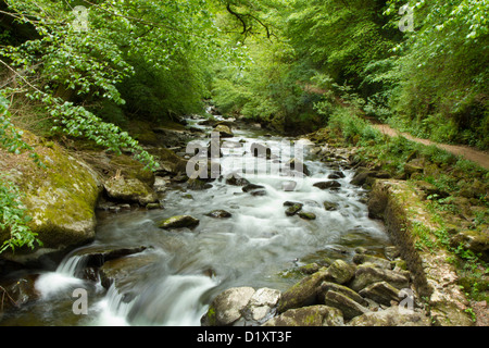 Stream through English Rural Countryside in Hampshire taken with a long ...