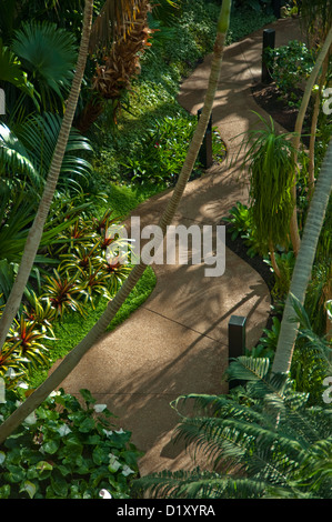 Curved path through garden Stock Photo - Alamy