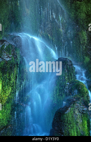 Water Fall on Olympic Peninsula, Wa Stock Photo - Alamy