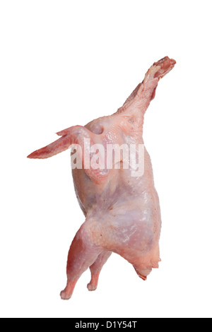 Raw BIO organic chicken legs. Fresh natural meat with vegetables and ...