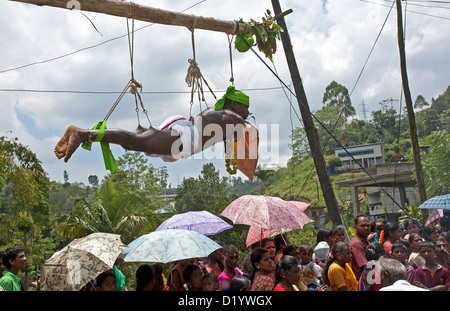 Man hanging on hooks pierced into his body. Tamil religion ritual ...