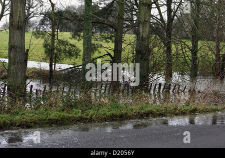 Flood water running down a road into an overflowing grate by the kerb ...