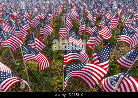 Hundreds of American Flags planted in a field Stock Photo - Alamy