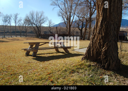 Landscape in nevada,usa,ely,alamo,mcgill,ruth Stock Photo - Alamy
