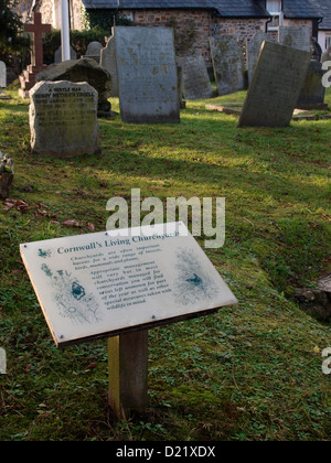 St. Olaf's Church, Poughill, Bude, Cornwall, UK Stock Photo - Alamy