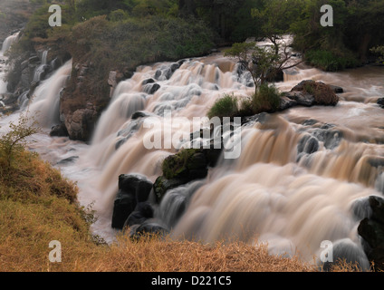 Awash river, Awash National Park, Afar Region, Great Rift Valley ...