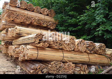 Large lengths of timber cuttings and leftovers from the sawmill ...