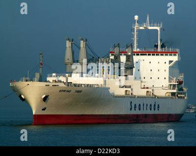 The SPRING TIGER Reefer (IMO 8312605) is a refrigerated cargo vessel ...