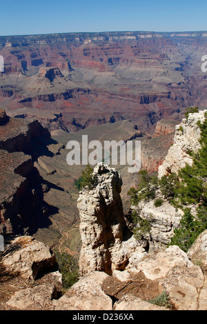Arizona, USA: the Grand Canyon taken from the North Rim Stock Photo - Alamy