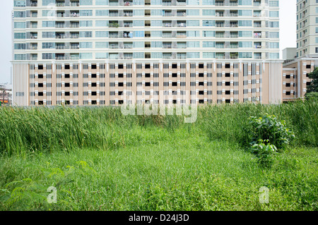 Open space or vacant overgrown lots amongst office building in downtown ...